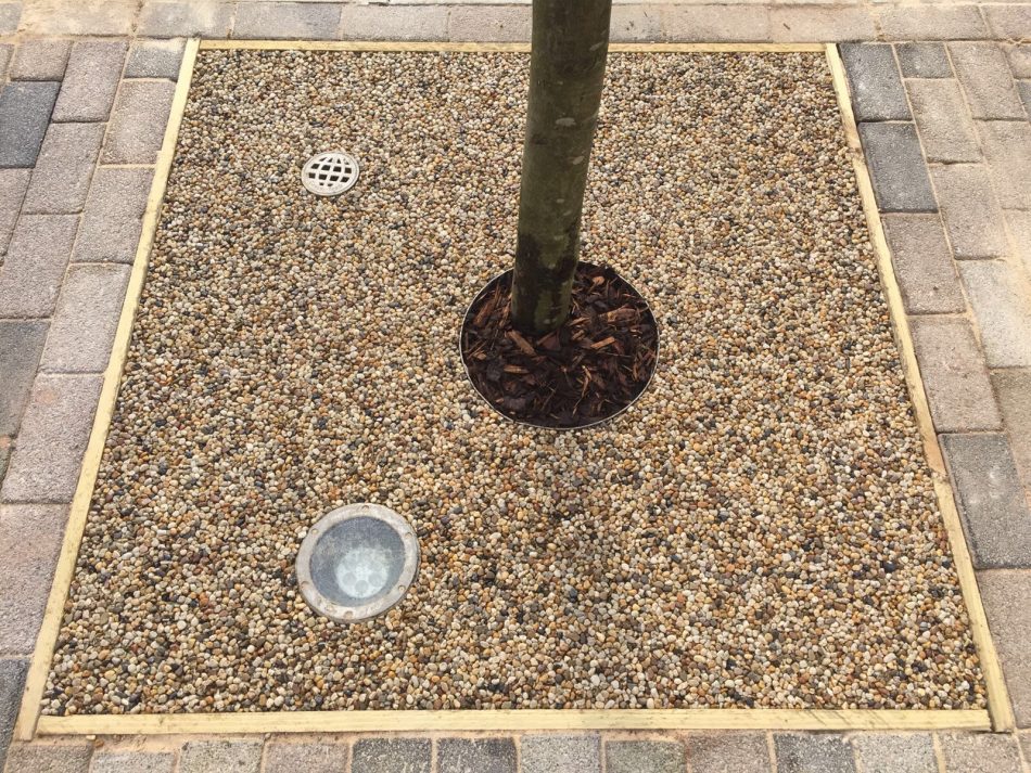 Resin Bound Tree Pits | What Are They? | Resin Bonded Ltd